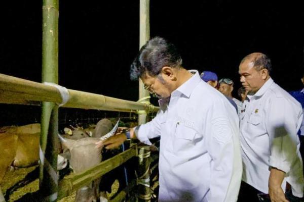 Mentan SYL Jamin Ketersediaan Hewan Kurban Idul Adha 2023